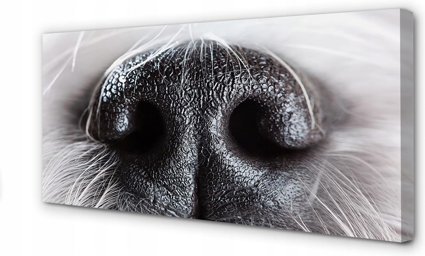 Nowoczesny wiszący obraz na płótnie Nos psa 140x70 - Opinie i ...