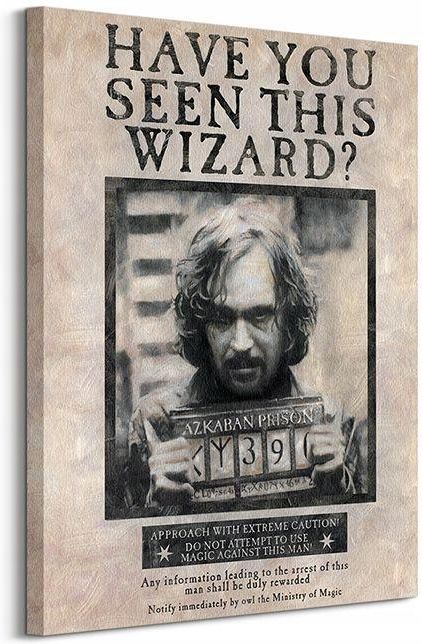 Obraz Harry Potter Syriusz Black 60x80 cm - Opinie i atrakcyjne ceny na ...