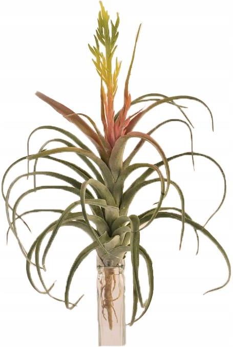 Sztuczna Jucca Juka Do Doniczki - Opinie i atrakcyjne ceny na Ceneo.pl