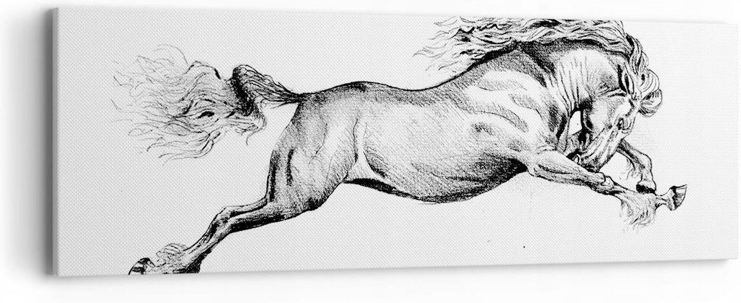 Obraz na płótnie koń rysunek ołówek AB90x30-4906 - Opinie i atrakcyjne ...