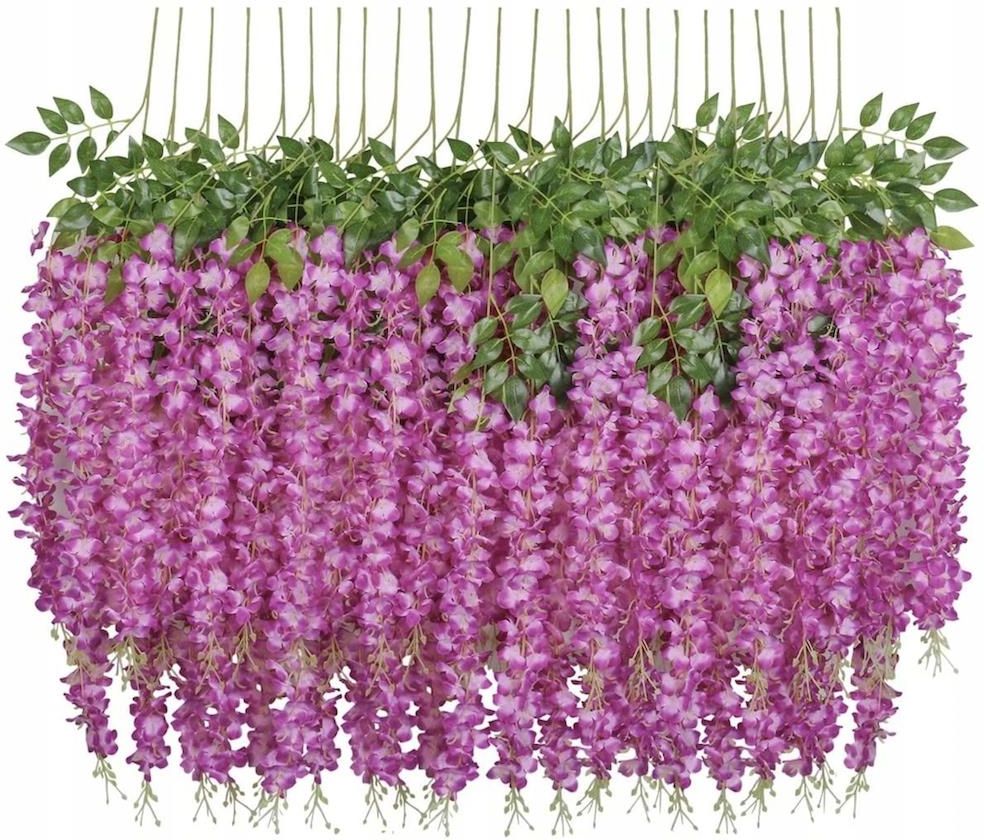 12x Glicynia wisteria zwisy kwiatowa ściana różowy - Opinie i ...