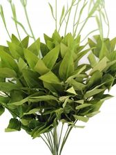 Ruscus kwiaty sztuczne Ruskus liście gałązka 59 cm - Opinie i ...