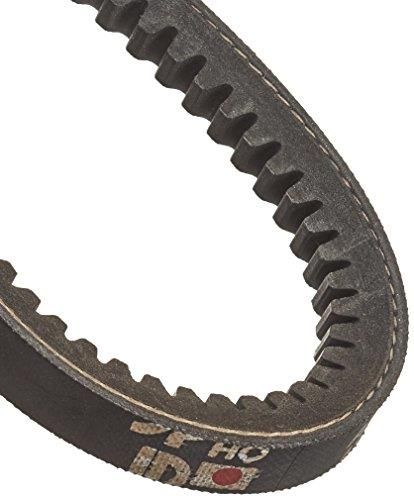 Japko 10X0600La Pasek Zębaty - Opinie i ceny na Ceneo.pl