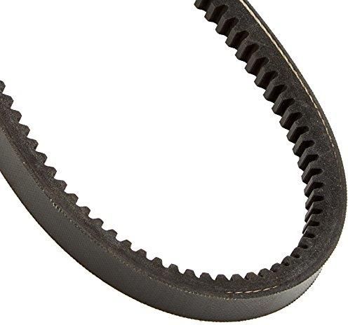 Japko 13 X 625 Pasek Zębaty - Opinie i ceny na Ceneo.pl