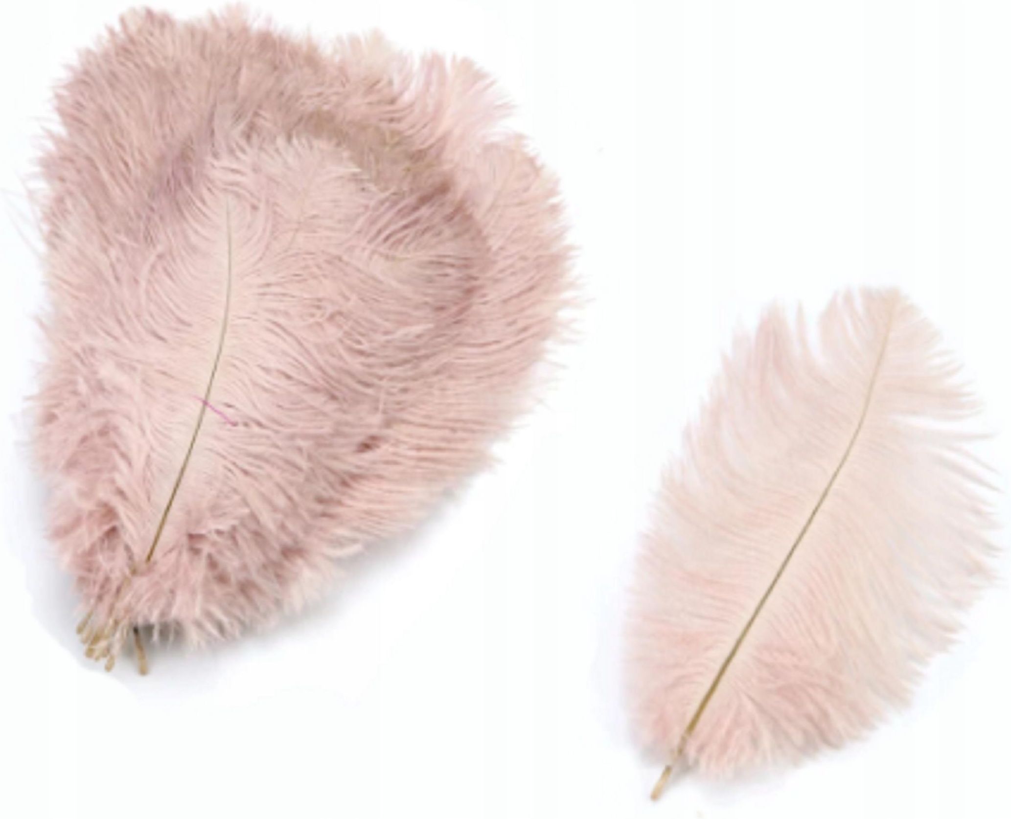 Strusie Pióro Naturalne 44-49cm Pudrowy Róż - Ceny i opinie - Ceneo.pl
