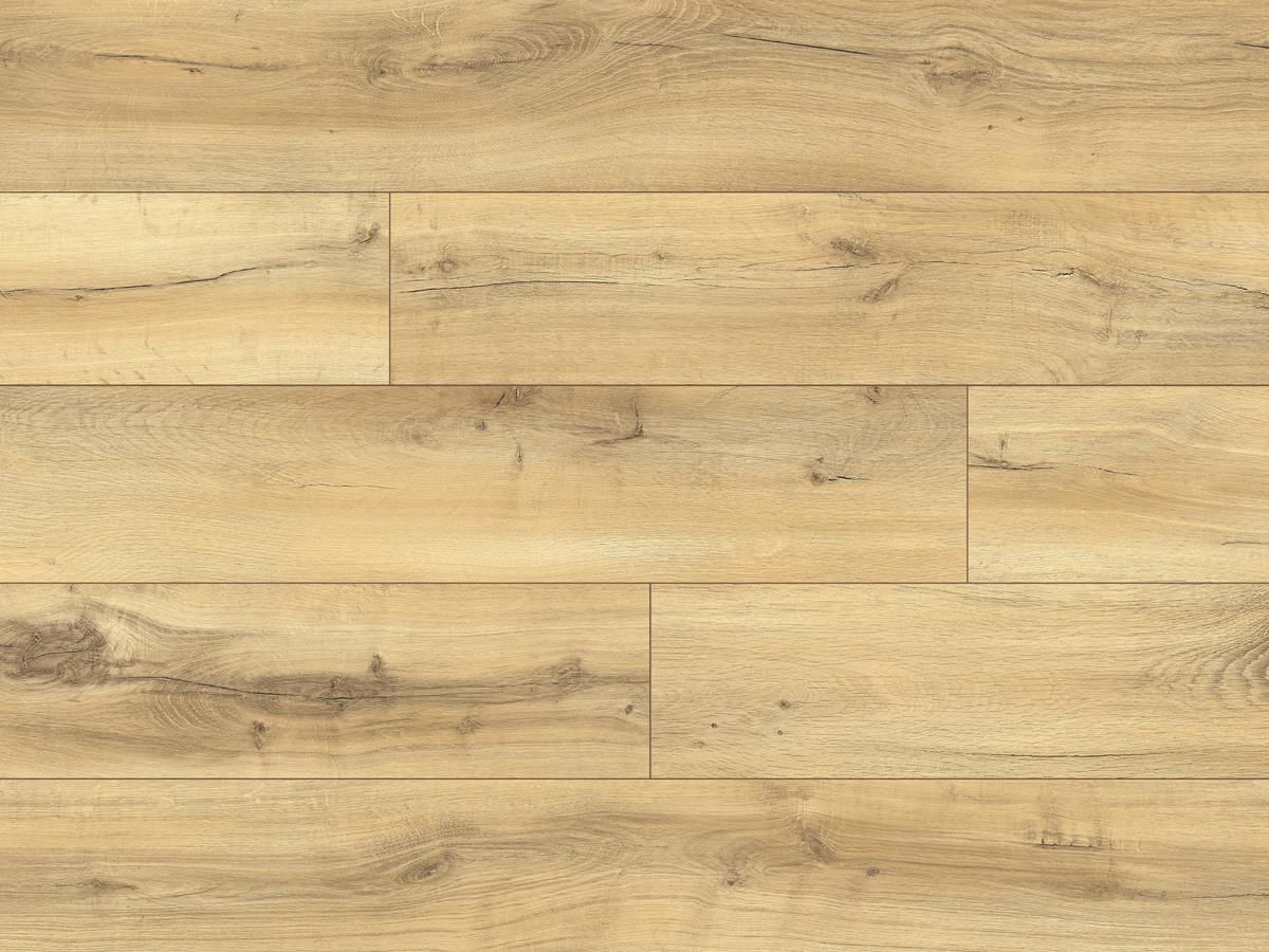 Panele Laminowane Classen Dąb Manitoba Trend 4V Wr Ac5 8mm (56578) - Opinie i ceny na Ceneo.pl