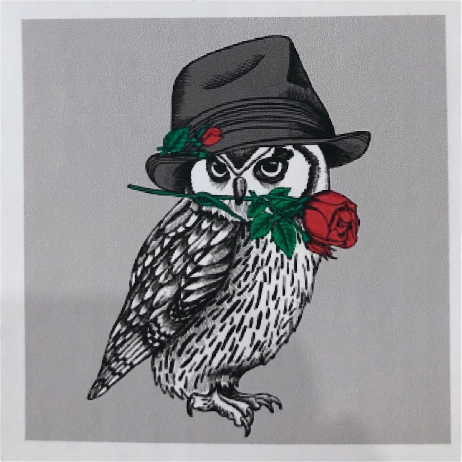 Diamond Picture, Mozaika, 5D, 30X30Cm, Sowa Z Różą - Ceny i opinie ...