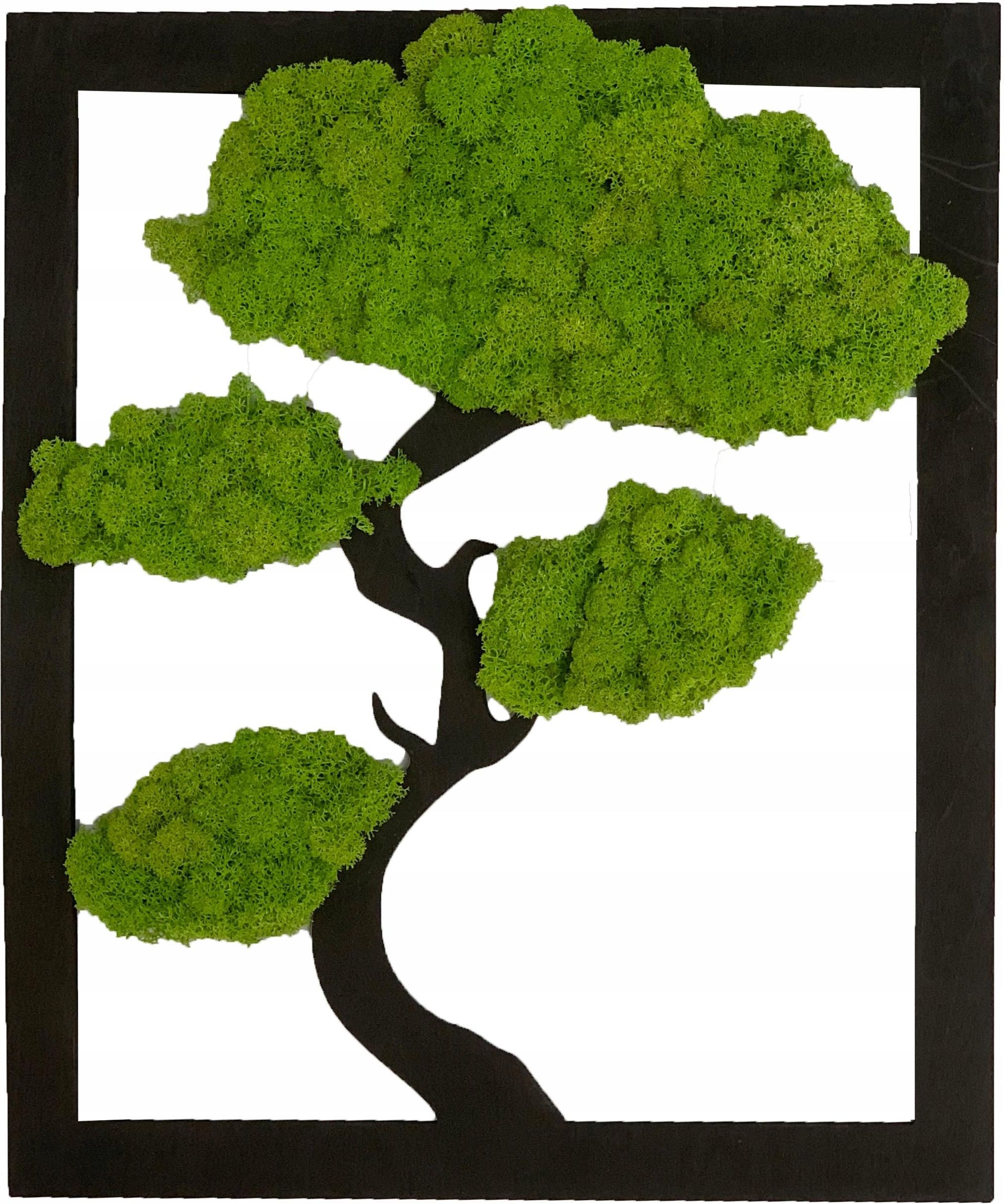 Drzewo Życia Bonsai Mech Chrobotek Obraz Z Mchu 11771177468 - Ceny i ...