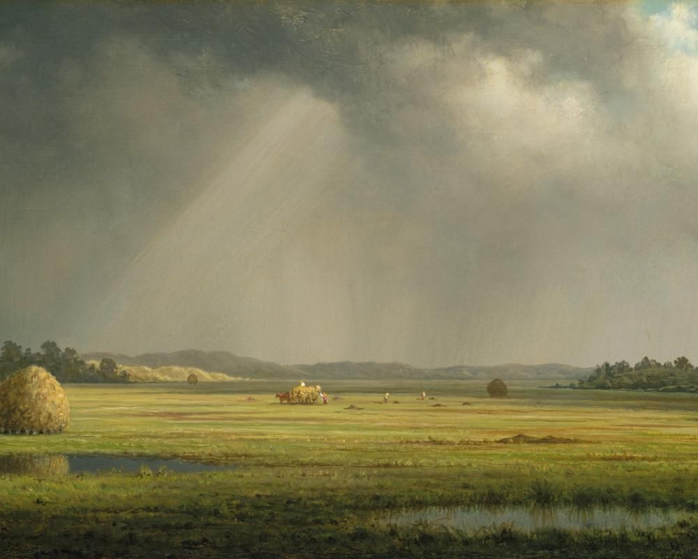 Zakito Posters Plakat 50x40 Łąki Newburyport Martin Johnson Heade ...