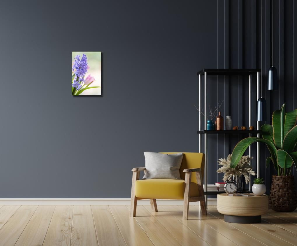 Zakito Posters Obraz 40x60cm Hiacynt i tulipany w zbliżeniu Assaf Frank ...