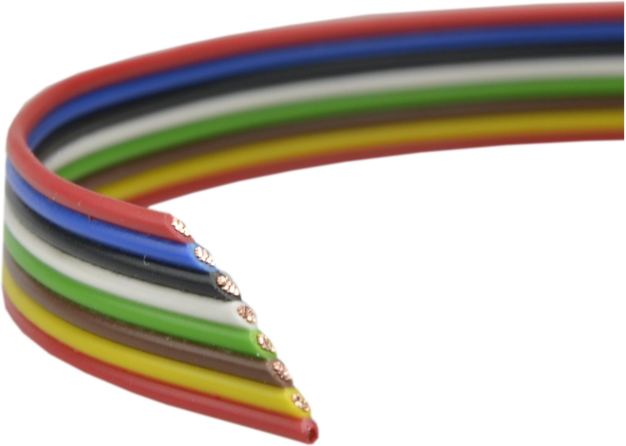 Technokabel Przewód Kabel Wstążkowy Taśma 150V Tlwy 8X0,22 - Opinie i ...