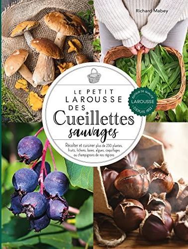 Petit Larousse des cueillettes sauvages: Récolter et cuisiner plus de ...