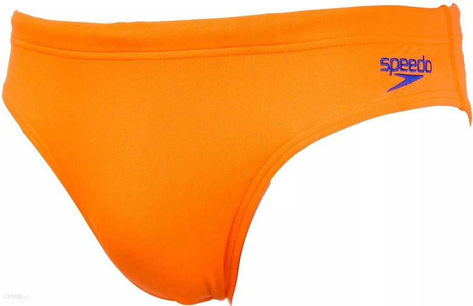 Speedo 813073C561 - Ceny i opinie - Ceneo.pl