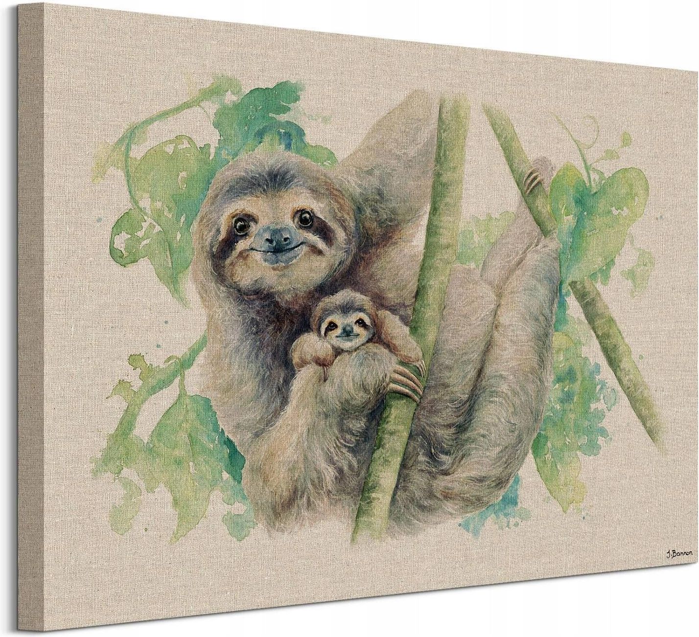 Pyramid International Leniwce Leniwiec Obraz Na Płótnie 40X50 Cm ...