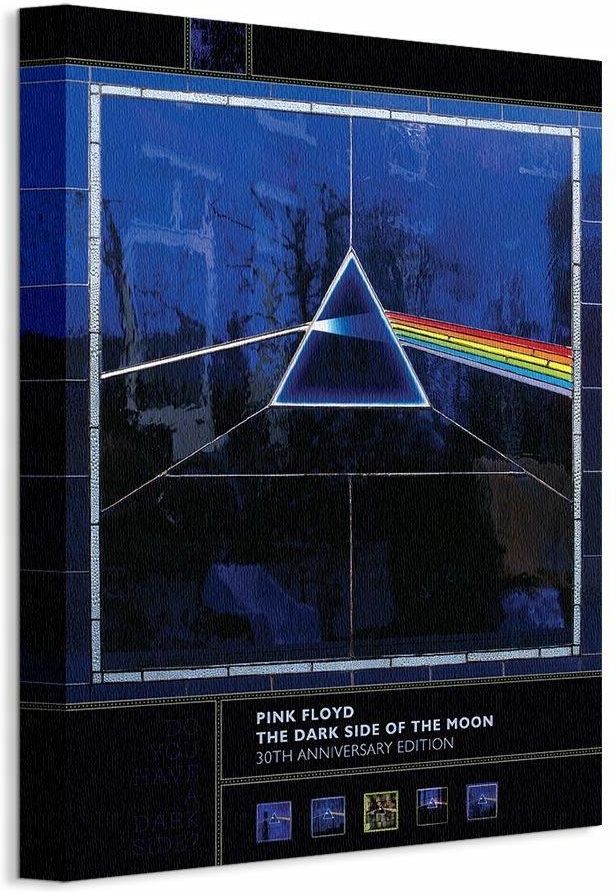 Pyramid International Pink Floyd Dark Side Of The Moon Obraz Na Płótnie ...