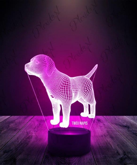 Lampka LED 3D Plexido Szczeniak Labrador - Ceny i opinie - Ceneo.pl