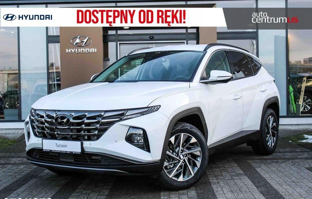 Hyundai Tucson 1.6 T-GDi 48V Executive 2WD DCT - Opinie i ceny na Ceneo.pl