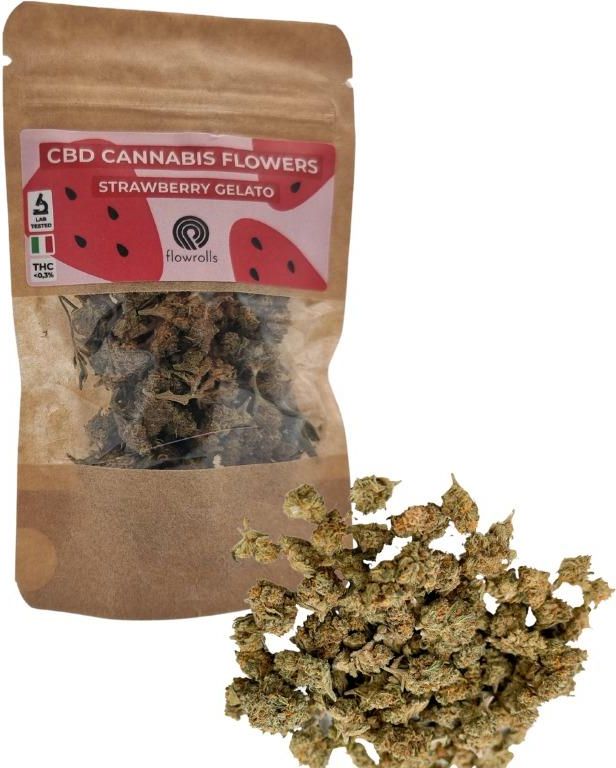 Preparat medycyny naturalnej Susz konopny CBD Strawberry Gelato 1g ...