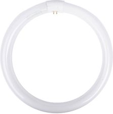Ledvance (Osram) Świetlówka kołowa G10q 32W 840 4000K L32W/840C 4050300018379 (4008321581143 ...