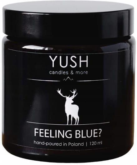 Yush Świeca Zapachowa Feeling Blue? 120Ml 01-Feeyus - Opinie i ...