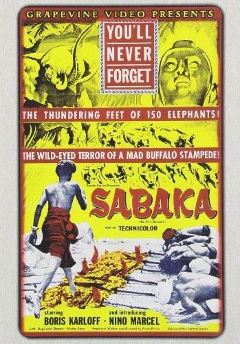 Film DVD Sabaka (DVD) - Ceny i opinie - Ceneo.pl