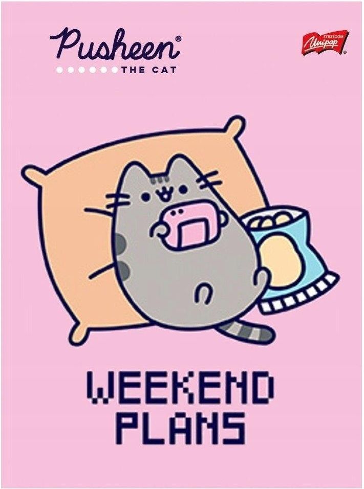 Unipap 4x Zeszyt A5 W Kratkę 32 Kartki Pusheen Kot Kotek Ceny I