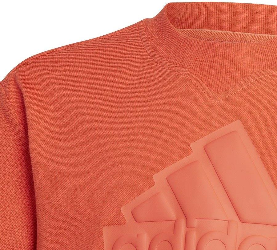 Koszulka adidas FI Logo Tee Jr HR6296 - Ceny i opinie - Ceneo.pl