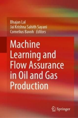 Machine Learning and Flow Assurance in Oil and Gas Production - Literatura obcojęzyczna - Ceny i ...