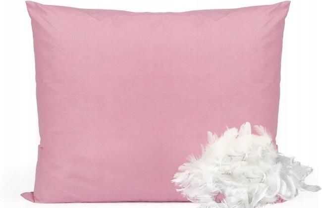Poduszka Pierza Puchu Naturalna Bawełniana 50X60 6d8220fa-c0fa-491f ...