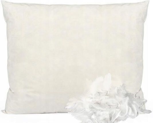 Poduszka Z Pierza Puchu 40X40 Cm Wsyp Andrychowski d672d3a8-0c15-46c7 ...