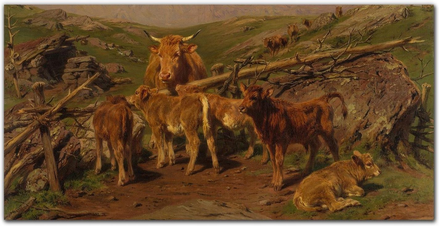 Coloray Obraz Na Płótnie Krajobraz Zwierzęta Krowy 100X50 1e2c2f34-dfcd ...