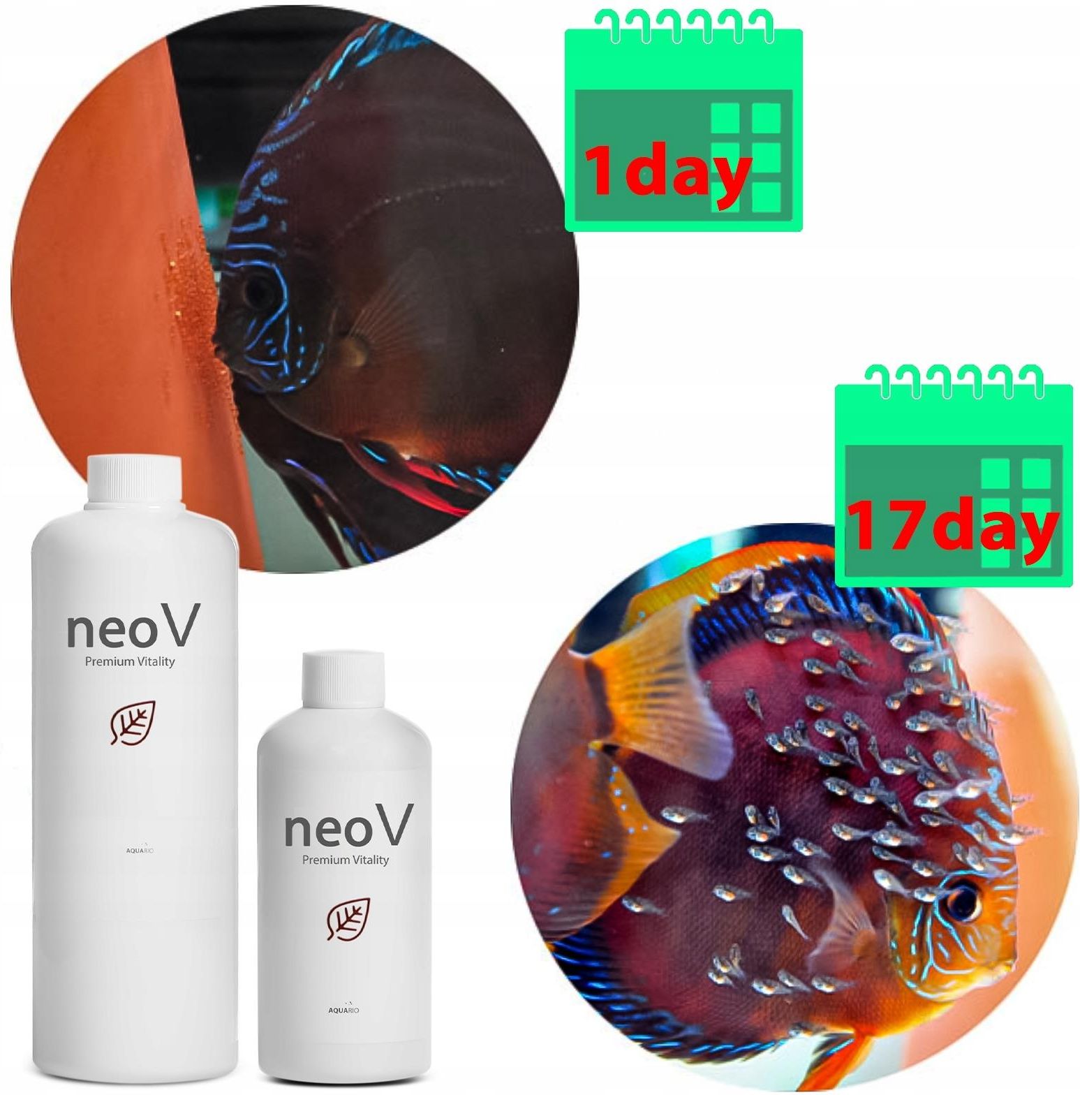 Neo Media V 1L Bakterie Akwarium Witaminy Dla Ryb - Ceny i opinie ...