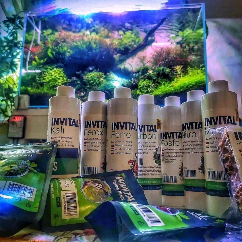 Invital Carbon 500Ml 641 - Ceny i opinie - Ceneo.pl