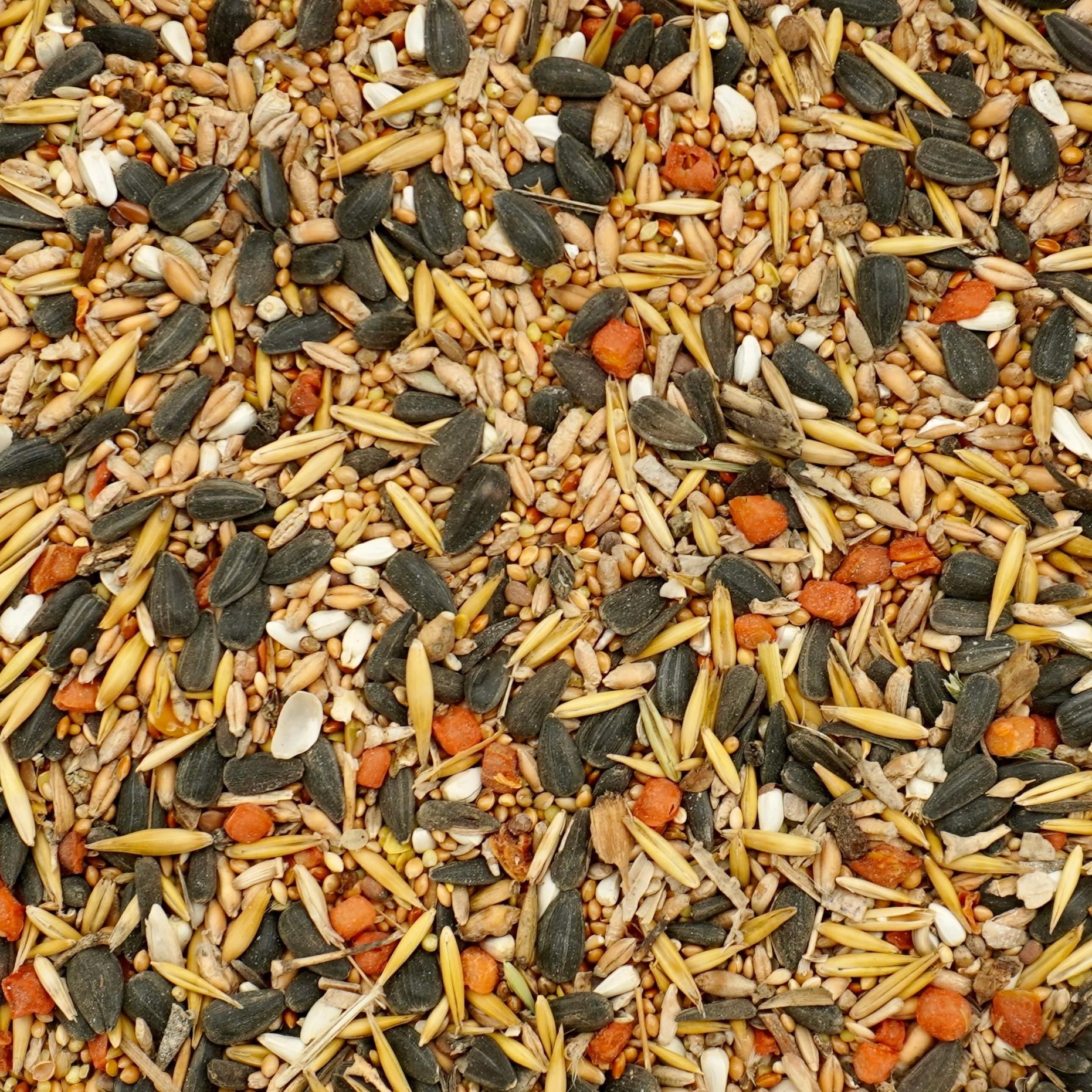 Champion 20Kg Karma Drobna Egzotyka Zeberka 106359 - Ceny i opinie ...