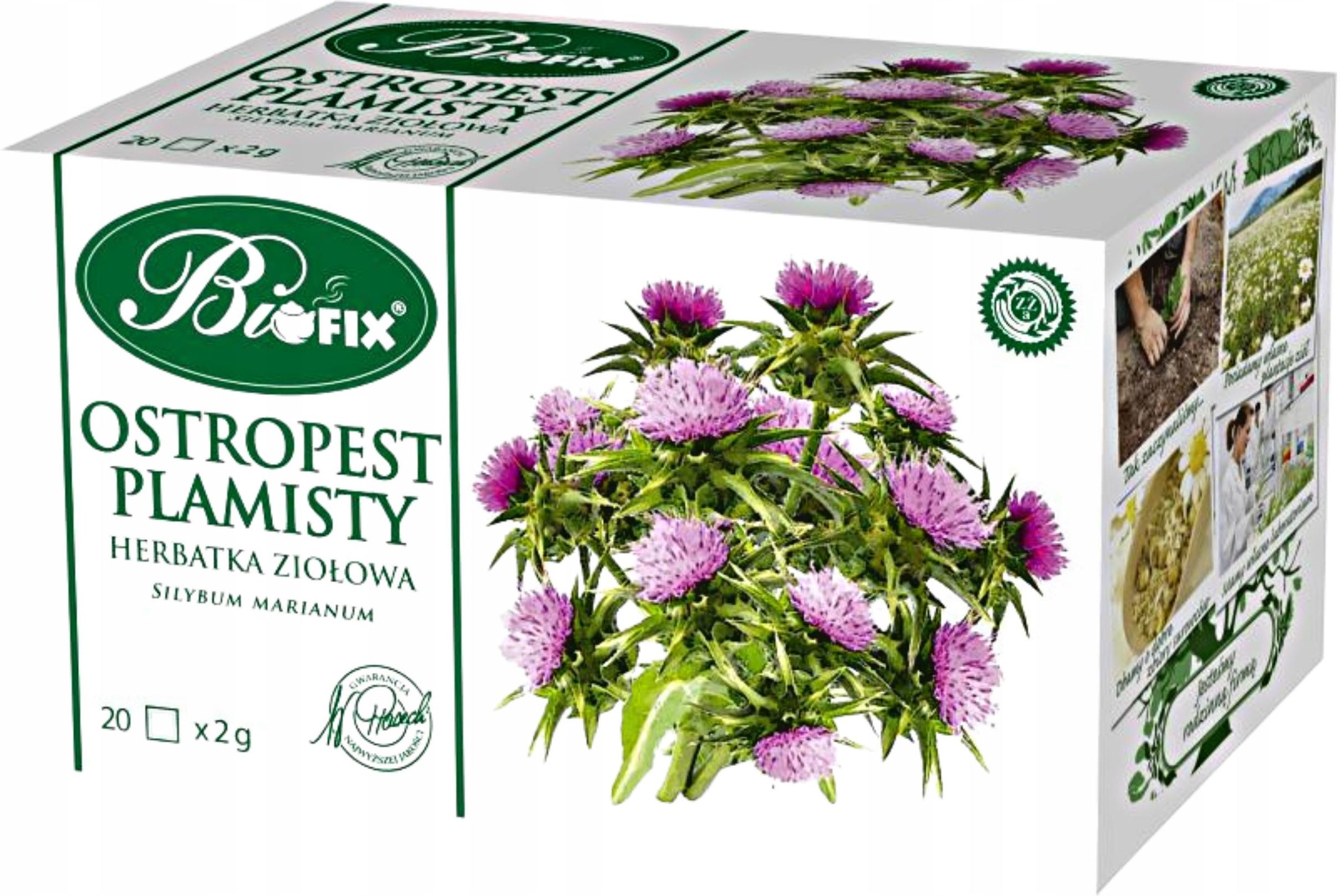 Herbata Bifix Ostropest Plamisty Herbata Ziołowa 20 Kopert 40g - Ceny i ...