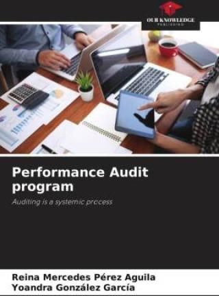 Performance Audit program - Literatura obcojęzyczna - Ceny i opinie ...