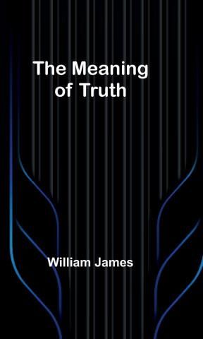 The Meaning of Truth - Literatura obcojęzyczna - Ceny i opinie - Ceneo.pl