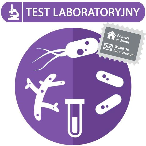 Valida Glista Ludzka Genetycznie Genetyczne Badanie Real Time Pcr Na ...