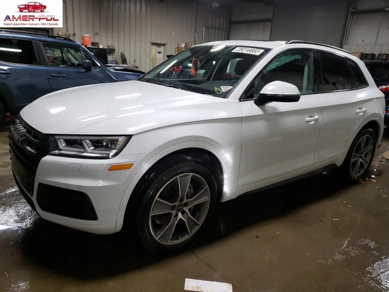 Audi Q5 AUDI Q5 PREMIUM PLUS, 2019r., 4x4, 2.0L - Opinie i ceny na Ceneo.pl