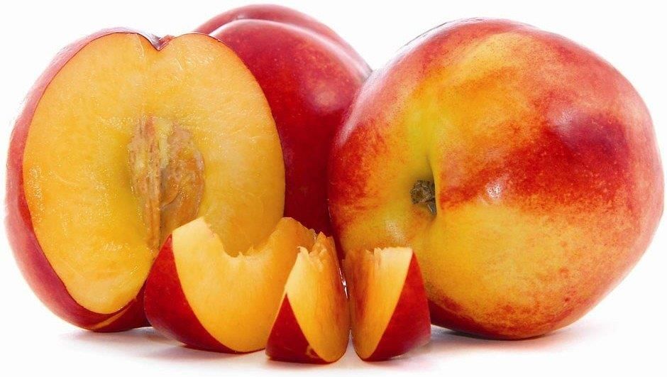 Morela Typu Orange Red Samopylna Sadzonka Moreli - Ceny i opinie - Ceneo.pl