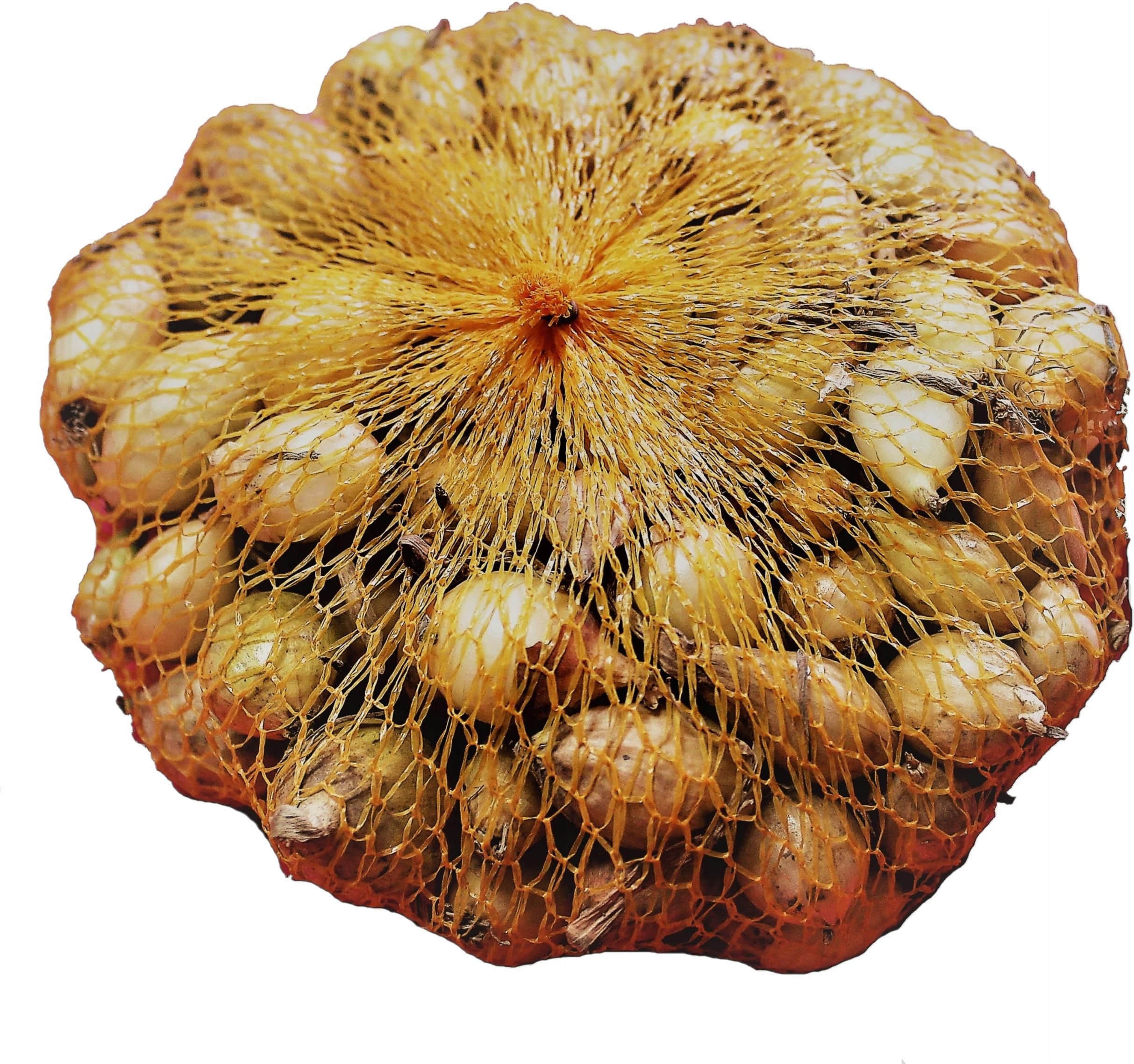 Cebula Dymka Sturon Żółta 08 21mm 0,5Kg - Ceny i opinie - Ceneo.pl
