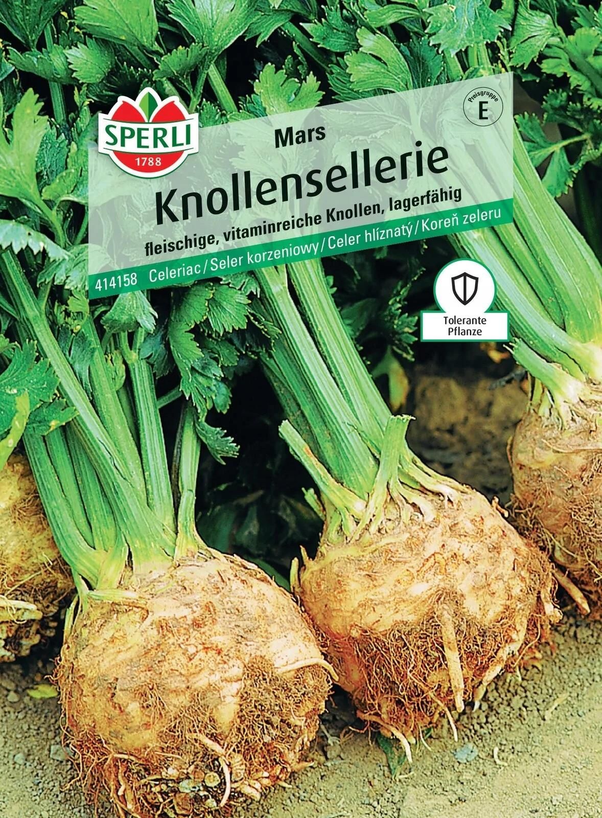 Seler Korzeniowy Mars Nasiona Premium Sperli - Ceny i opinie - Ceneo.pl