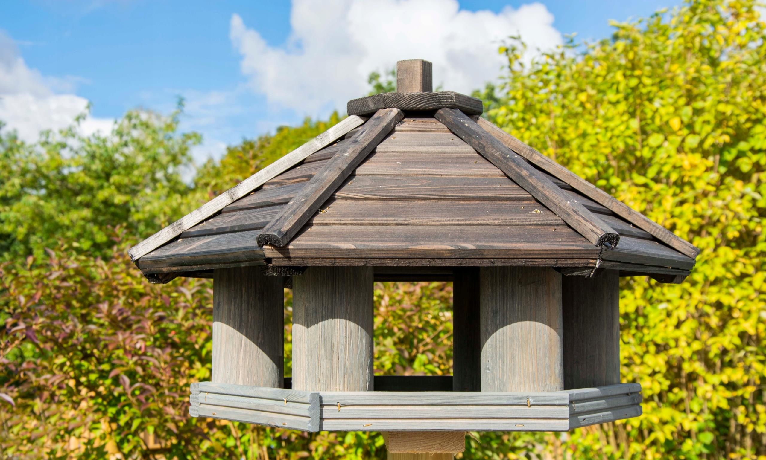 4Iq Group Karmnik Dla Ptaków Duży Drewniany Wróbel Iii ZKO2SC - Ceny i ...