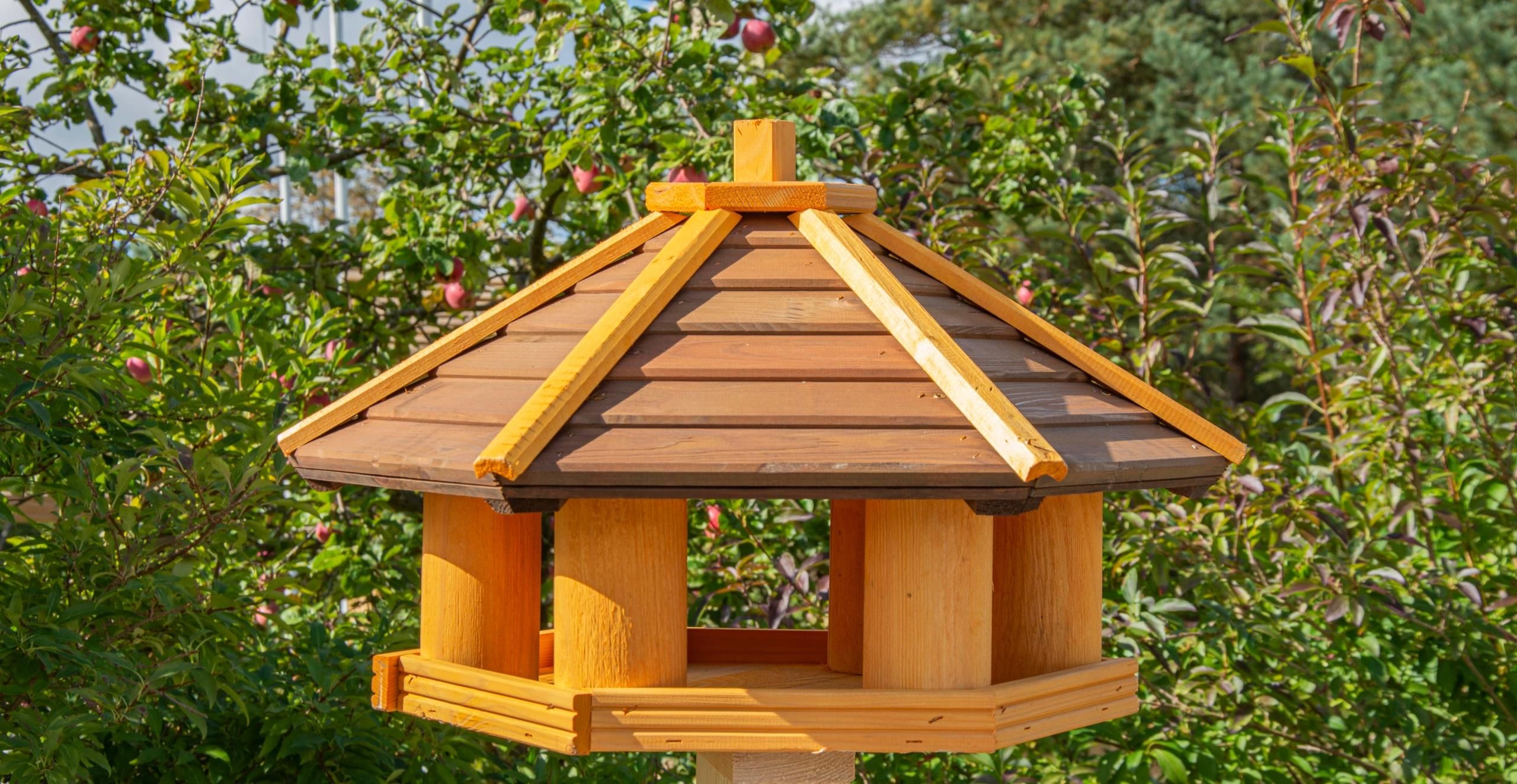 4Iq Group Karmnik Dla Ptaków Duży Drewniany Wróbel Vii ZKO2SP - Ceny i ...