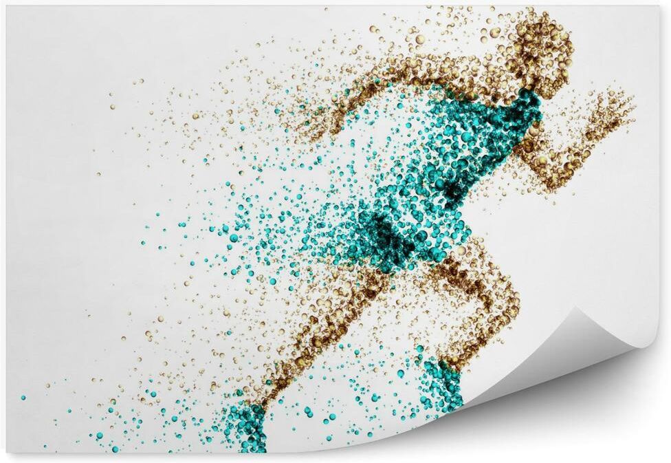 Kratki i kuwety malarskie Fototapety.pl Biegacz 250x250cm Fizelina ...