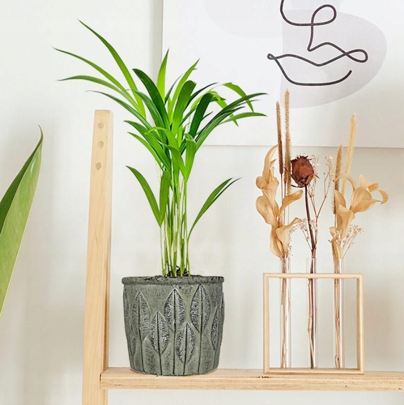 Palma Areka Areca 30cm - Ceny i opinie - Ceneo.pl