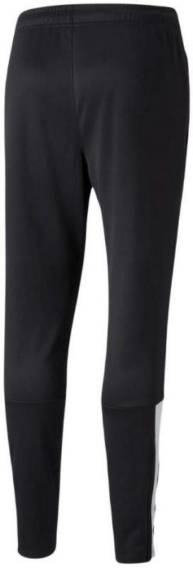 Puma Spodnie Teamliga Training Pants M 657242 45 - Ceny i opinie - Ceneo.pl
