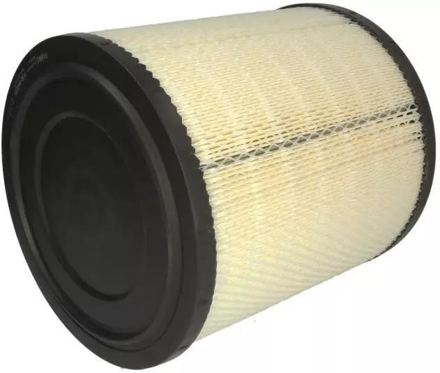 Purro Filtr Powietrza Purha0001 - opinie i ceny na Ceneo.pl