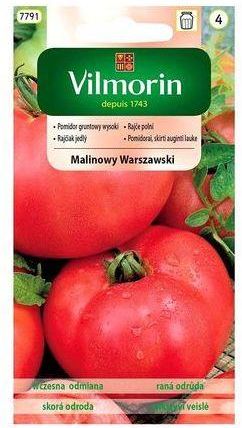 Pomidor Gruntowy Wysoki Wczesny Malinowy Warszawski Vilmorin 0,5G - Ceny i opinie - Ceneo.pl