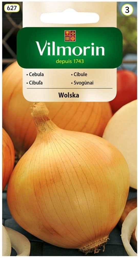 Cebula Wolska Późna 5g Vilmorin - Ceny i opinie - Ceneo.pl